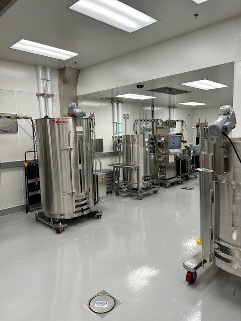 Mastering Upstream Development: Key Considerations for mAb Production