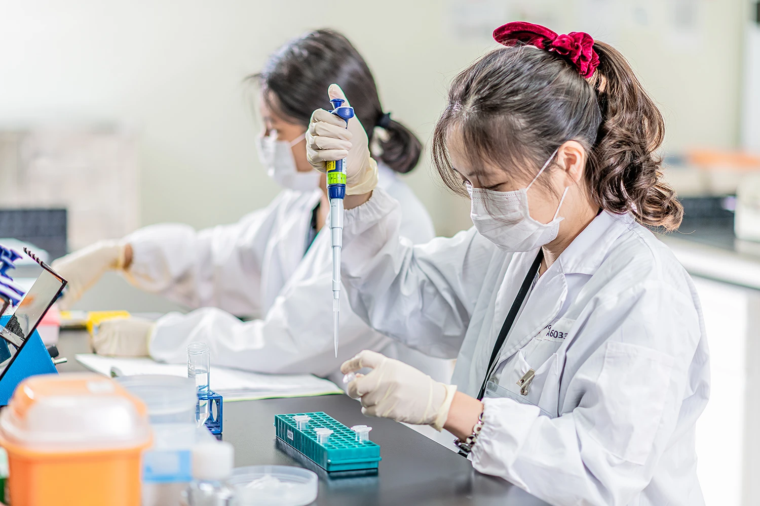 Guidelines for Choosing the Right mAb Cell Line - Part 1